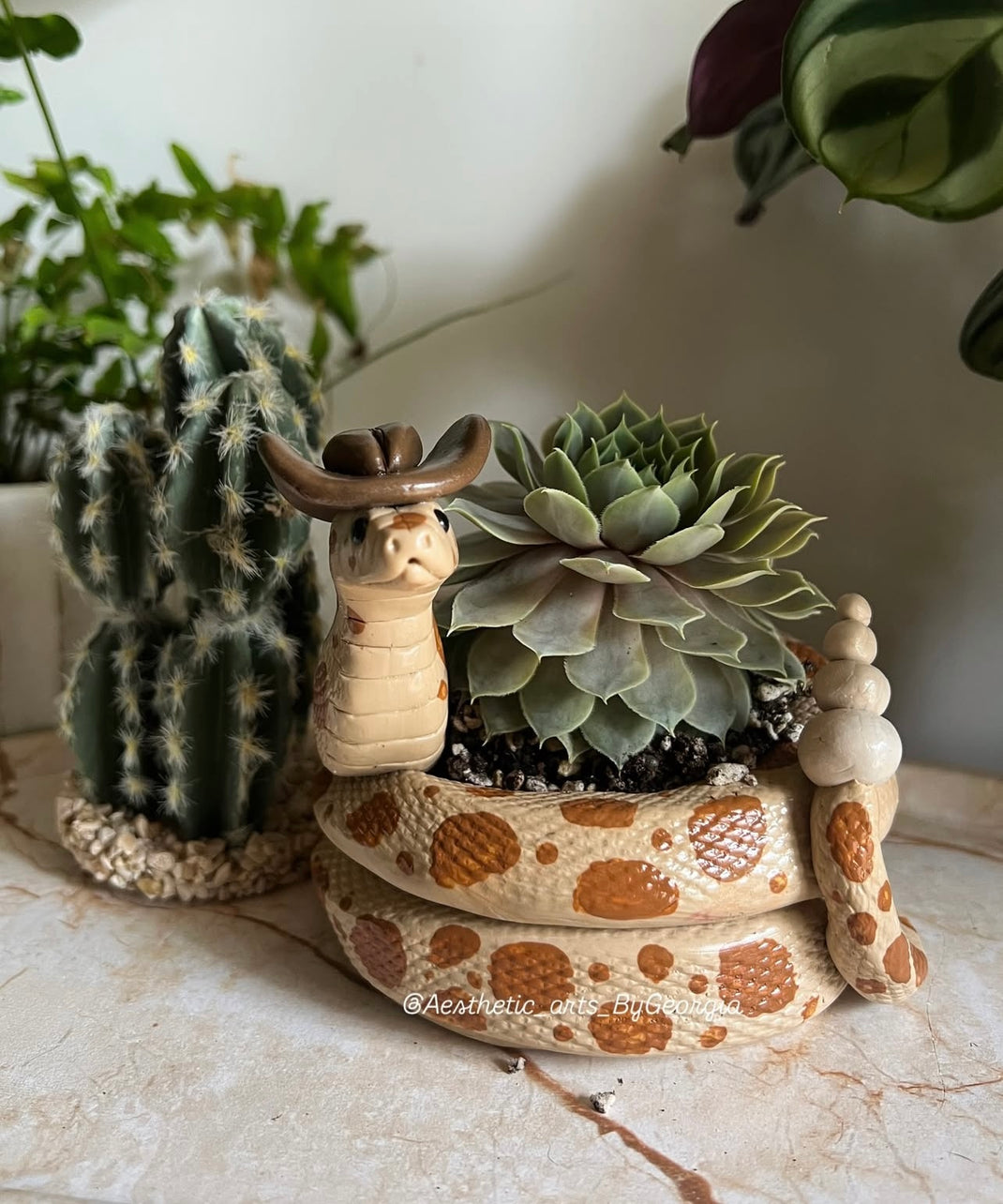 Aesthetic Arts by Georgia