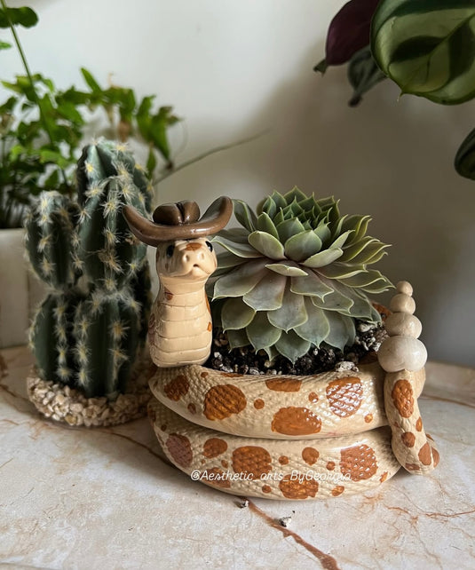 Aesthetic Arts by Georgia