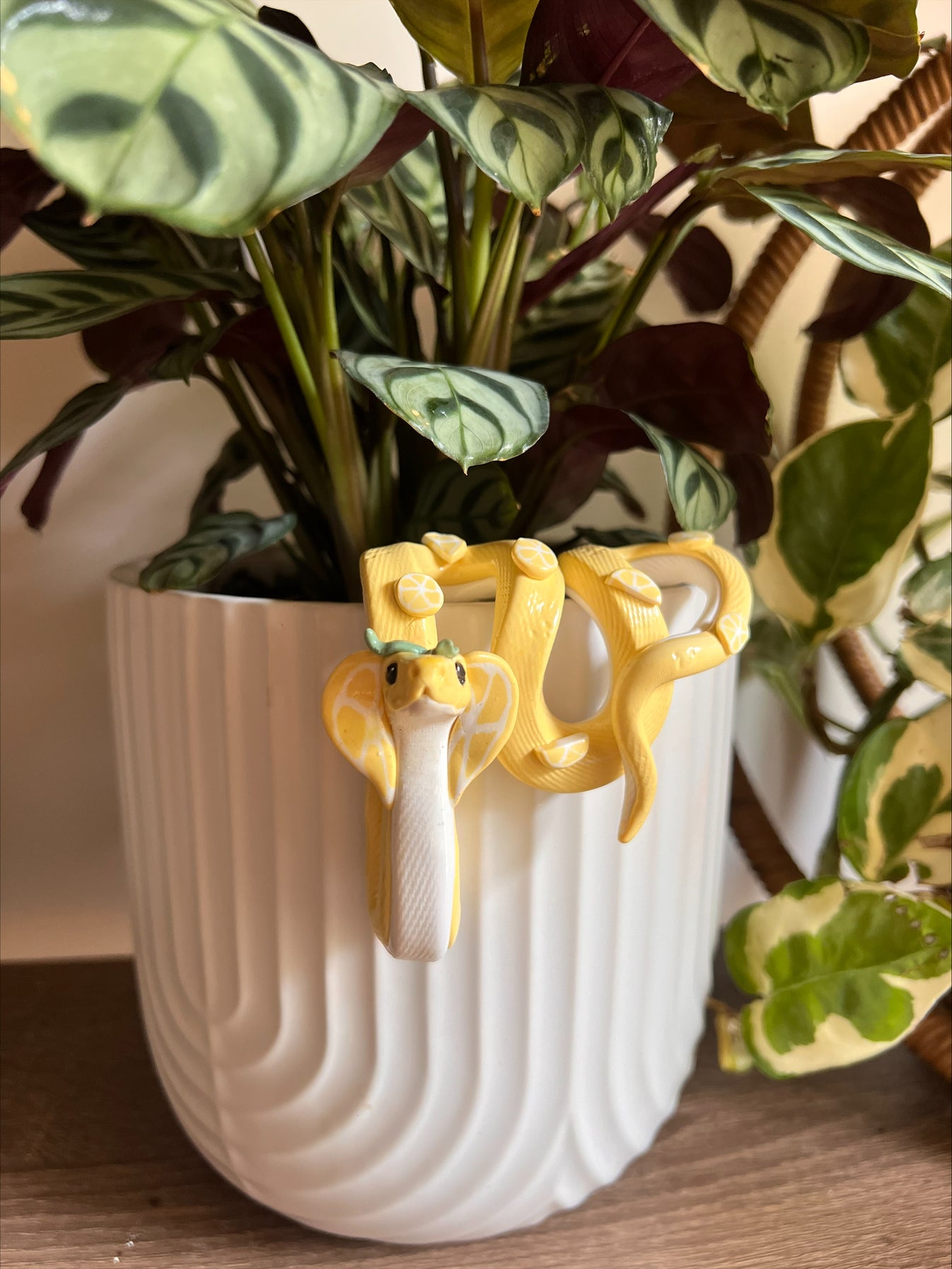 Sour Boy – Aesthetic Arts by Georgia